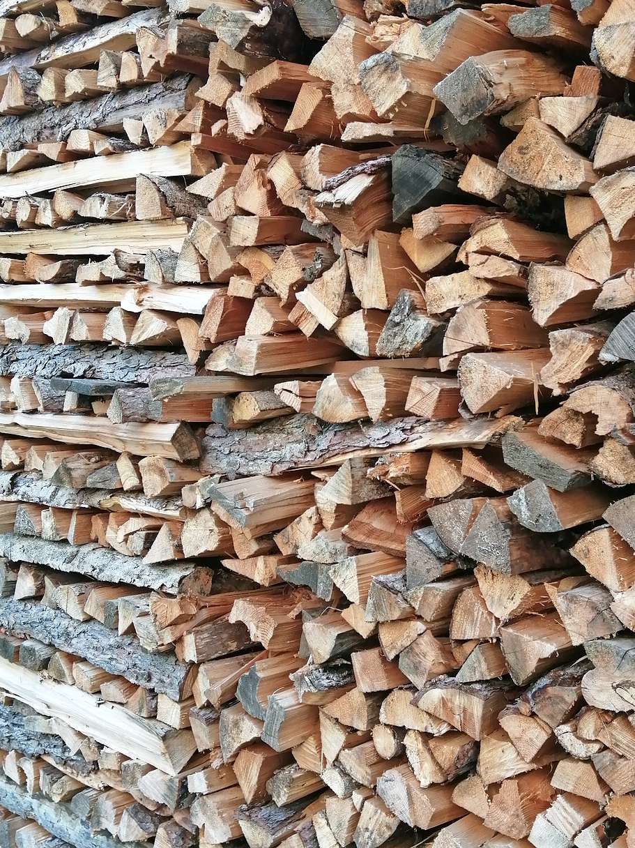 L valor de podè se avè l ort e podè se fà doi legne - La Usc di Ladins ...