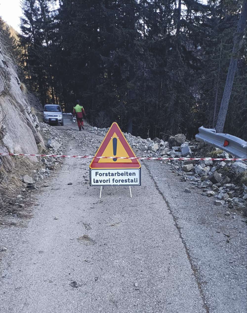 Streda śareda defin per rumé su tl bosch - La Usc di Ladins - Plata dla ...